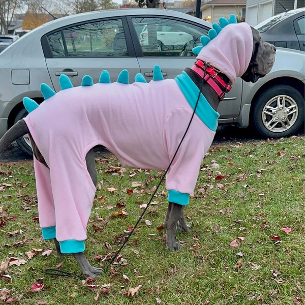 Custom Great Dane Halloween Costume for Dogs, Extra Large Dinosaur Dog ...