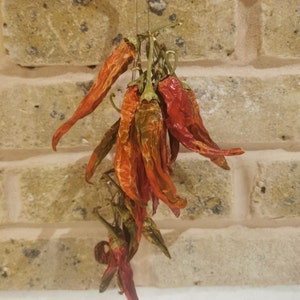 Dried Fig Chips, Natural Pure Dried Fig Chips, Organic Dried Figs ...