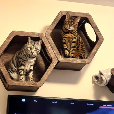Cat Wall Mount Furniture, Cat Wall Bed, Wooden Cat Hexagon Shelves ...