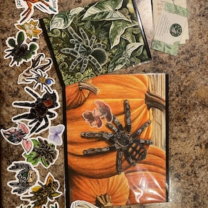 Velvet Spider Sticker 3.5 Inch Glossy Sticker Ladybird - Etsy