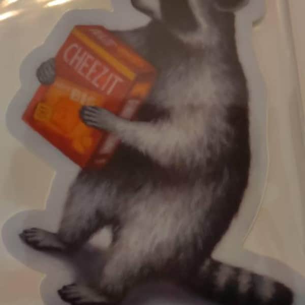 Funny Raccoon Sticker With Original Raccoon Art by Sarah Becktel ...
