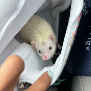 Snuggle Ball Pit Large Fleece Reversible Hanging Pouch, 4 Detachable ...