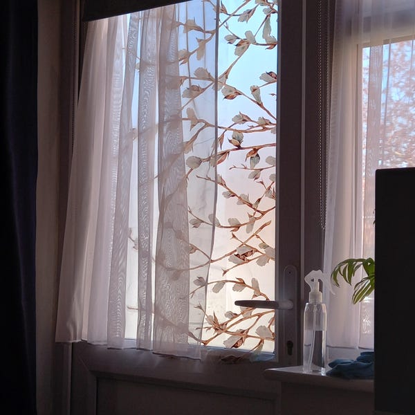 Leaves Trail Border Window Sticker | Tree Branch Window Decal ...