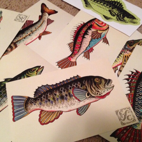 Mako Shark Giclee Print of a Watercolor Painting. Blue Pointer. Bonito ...