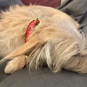 Large Leather Dog Collar, Aztec Leather Dog Collar, Mastiff Dog Collar ...