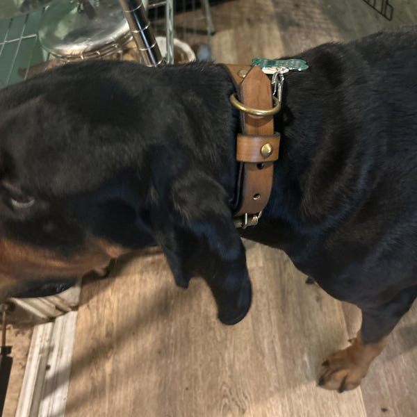 Aged Leather Belt Studded. Skull Loop Design. 2 Inches Wide. BLACK - Etsy