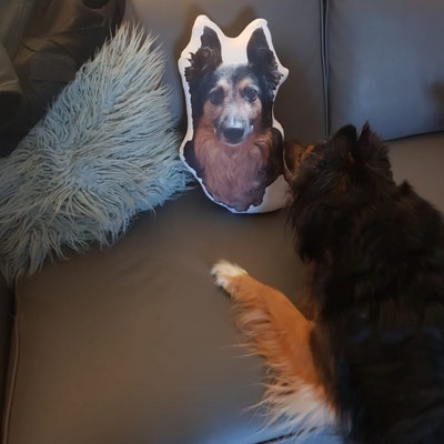 Memory Pillow Pet Memorial Custom Pet Portrait - Etsy