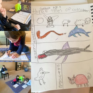 CC Cycle 1 How to Draw Science Memory Work Classical Homeschool CC ...