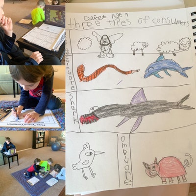 CC Cycle 1 How to Draw Science Memory Work Classical Homeschool CC ...