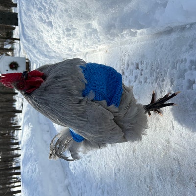 Knit Chicken Sweaters medium Weight Hen Clothing Poultry Accessories ...