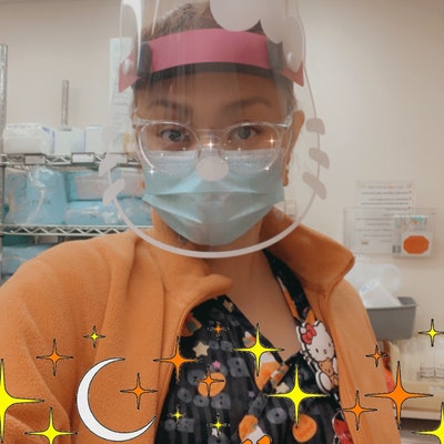 Cat Face Shield Kitty Face Shield Clear Face Shield Cute Face Shield ...