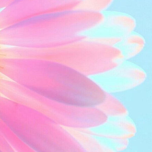 RV Checklist Before Leaving (customizable), Camping Essentials, Visual ...