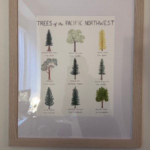 Washington State Symbols Art Print / Washington State Art / State ...