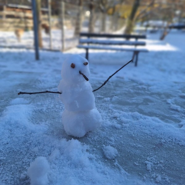 BUSHCRAFT SPICE SET, Travel Spices Set, Spice Storage, Campfire Spices ...