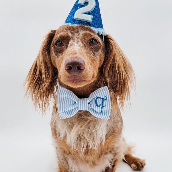 1st Birthday Hat- Boy First Birthday Hat - Mini Blue Party Hat - Boy ...