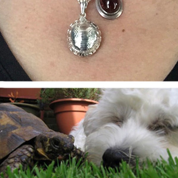 Tortoise Locket Necklace Ruby Eyes on 18” Chain Silver - Jewellery Gift ...