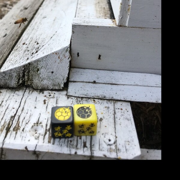 Bee Dice / Set of 2 / D6 Bug, Insect, Honey - Etsy