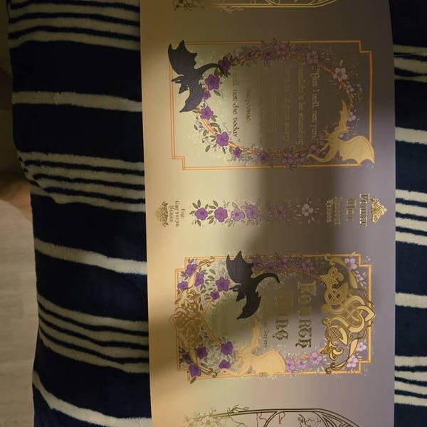 Fourth Wing Gold Foil Dust Jacket - Etsy