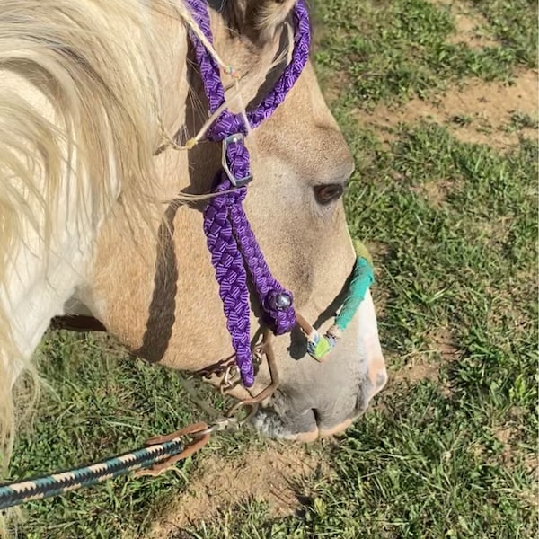 Braided Twist Hobbles and 3 Way Attachment Set - Etsy