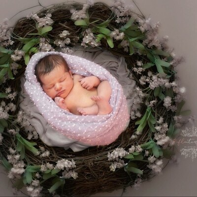 NEWBORN DIGITAL BACKDROP: Crib With Pink Wrap - Etsy