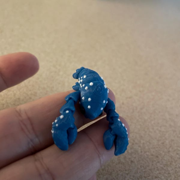 3d Printed Articulated Ladybug Fidget - Etsy
