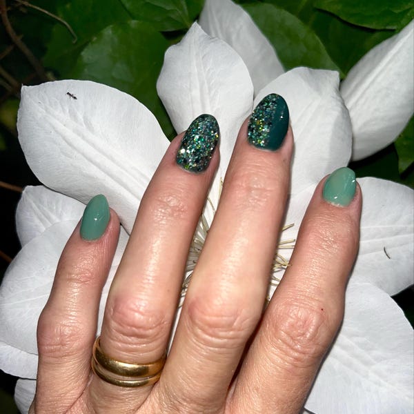 Sugar Plum Fairy- Dip Powder, Dip Powder for Nails, Nail Dip Powder ...