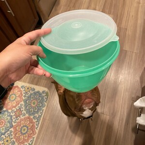 Cow Face Permanent Black Vinyl Car/window Decal (#2) - Etsy