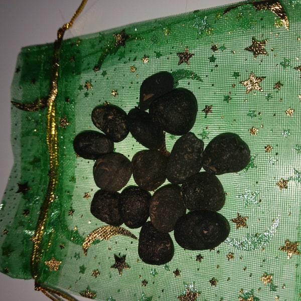 Craft Material Devils Claw Pods 20/devils Horn/ Art Material/organic ...