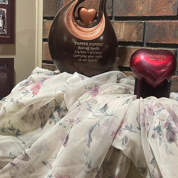 Game Over Cremation Urn for Ashes - Funeral Urn for Human - Urn for ...