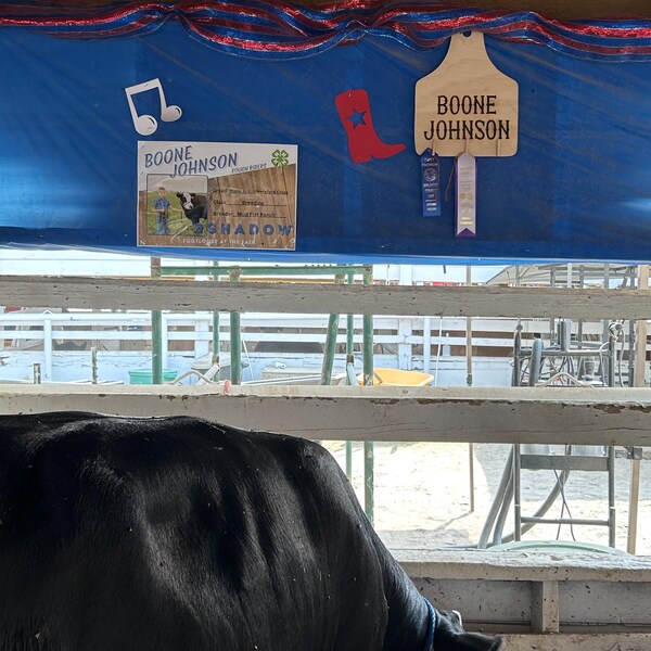 Marketing Your Animal Editable Fair Stall Livestock Sign, DIGITAL FILE ...