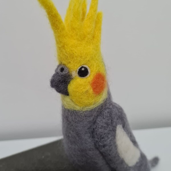 DIY Paper Budgerigar Craft, Instant Download PDF File / 'make It ...
