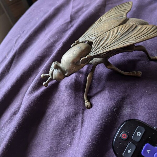 Choose Your Quirky Companion From Vintage Collection: 2 Dapper Rooster ...