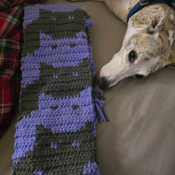 Crochet Cat Scarf Pattern (DIGITAL PDF PATTERN) - Etsy