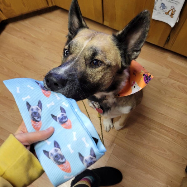 Custom Pet Socks, Put Your Cute Dog on Socks, Dog Lovers Gift, Funny ...