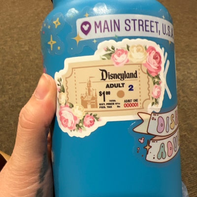 Disneyland Admission Ticket Sticker/ Retro Floral Disney Laptop ...