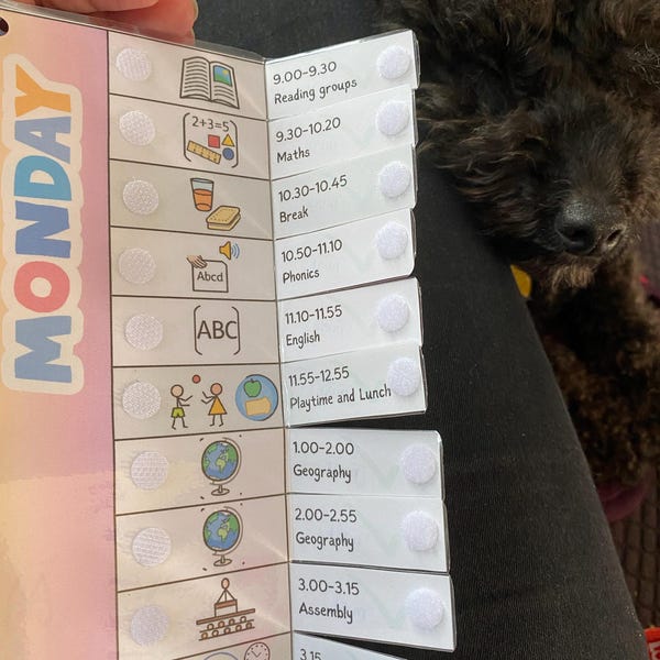 Morning/ Evening Visual Schedule - Personalised - Etsy