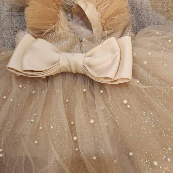 Powder Pink Birthday Tutu Dress,baby Prom Dress Ball Gown Toddler ...