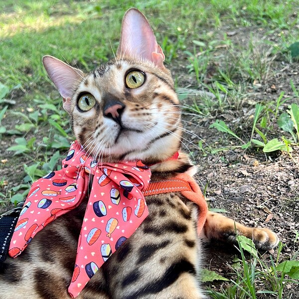 Pizza Pet Bandana, Blue Pet Bandana, Food Cat Bandana, Food Dog Bandana ...