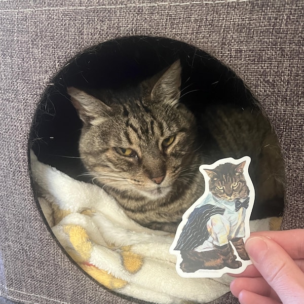 Raining Cats 12x20 Print, Internet Cats, Smudge, Lil Bub, Grumpy Cat ...