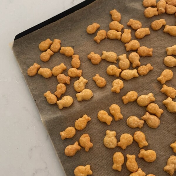 Bongo Cat Cookie Cutter 3D Printed - Etsy