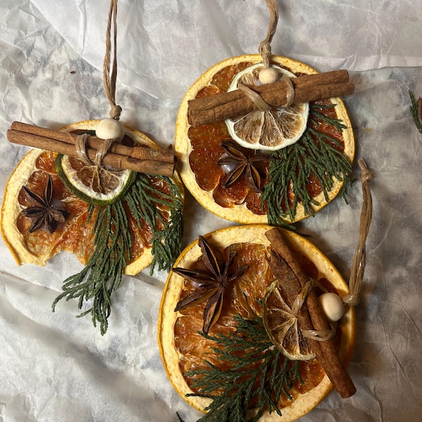 Citrus & Cinnamon Handmade Ornament Set - Etsy
