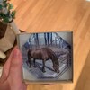 Personalized Glass Photo Paperweight, Pet Memorial Gift - Etsy