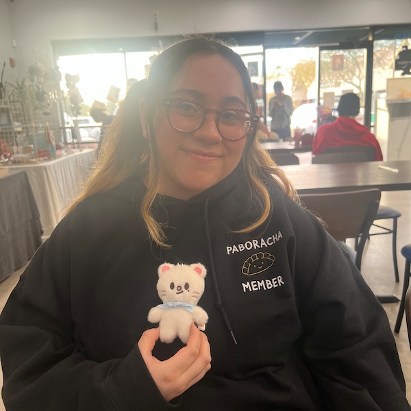 Paboracha Member Stray Kids SKZ Embroidered Hoodie - Etsy