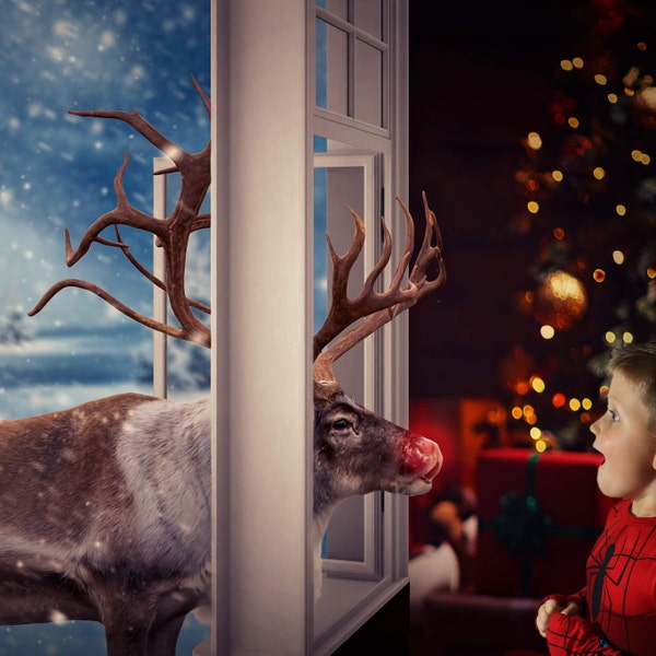 2 Reindeer Rudolf in a Christmas Window Digital Backgrounds Backdrops ...