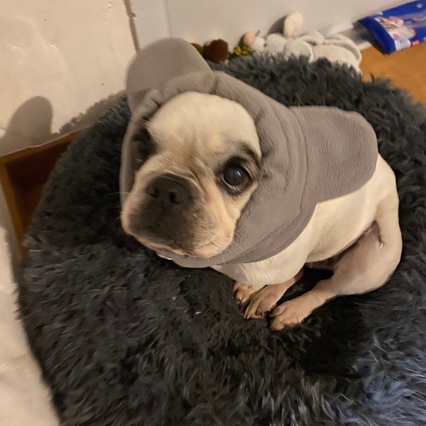 Frenchiestore Organic Dog Frenchie Ear Warmers | Blue Frenchie (grey ...
