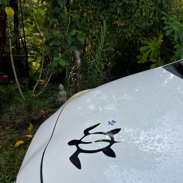 Hibiscus Honu Sea Turtle Decal. Vinyl Decal Only. Personalize Water ...