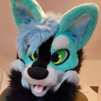Fennec Fox Fursuit Partial, Fox Fursuit Head, Premade Fursuit - Etsy
