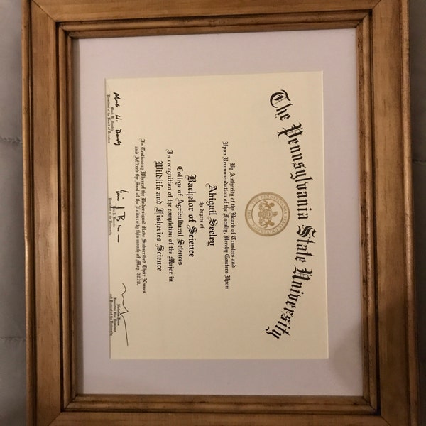 Clear Pine Diploma Frame With Mat: Handmade Certificate Holder - Etsy