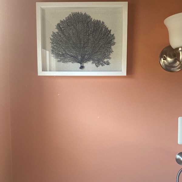 Set of 2 Framed Sea Fans, Sea Fan Art, Sea Fan Decor, Sea Coral, Sea ...