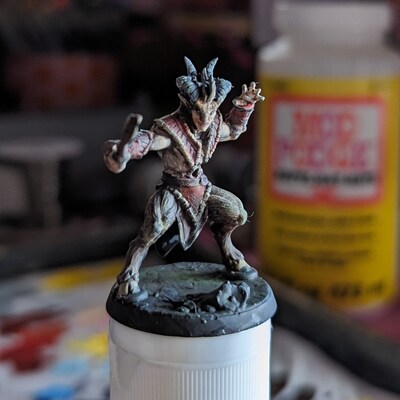 Goldi Locke the Beastmaster Resin Miniature Dnd - Etsy